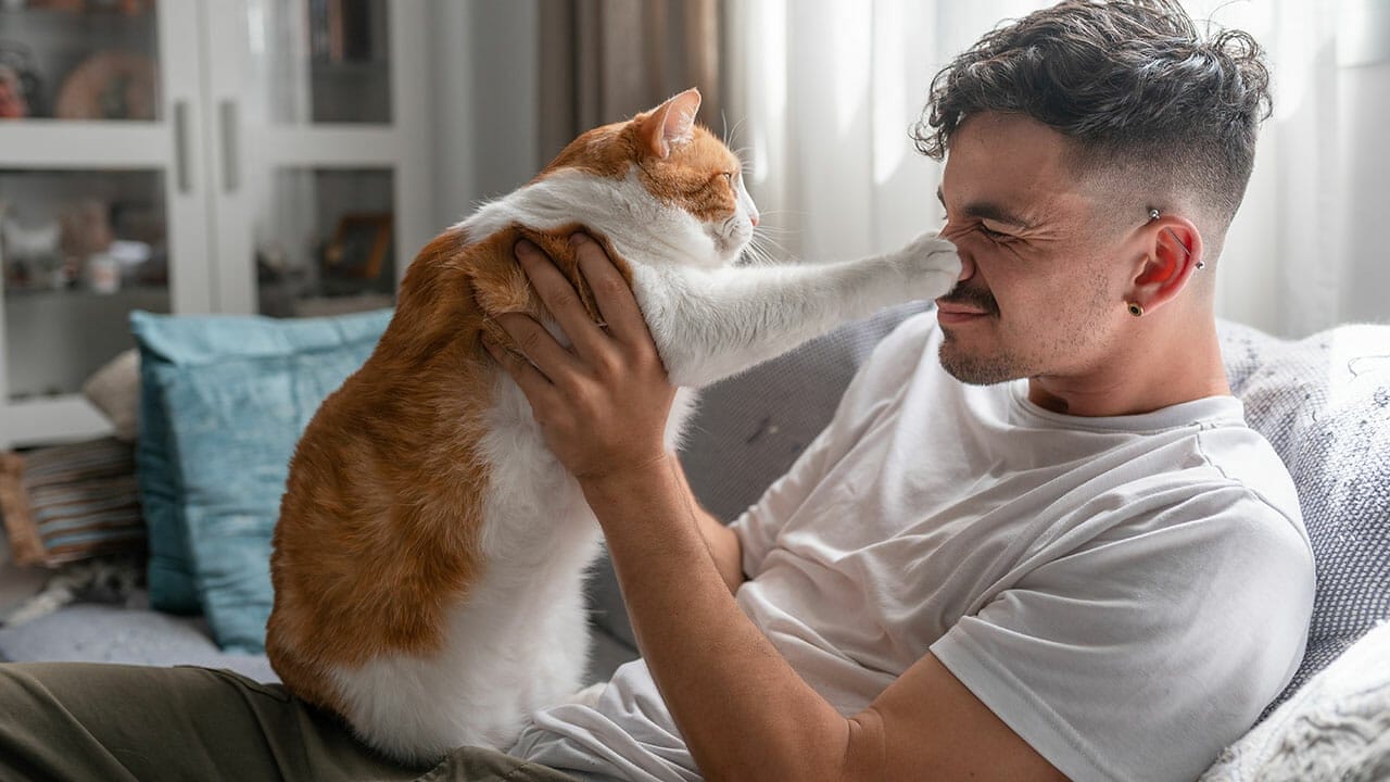 The #1 Secret to Winning a Cat's Trust